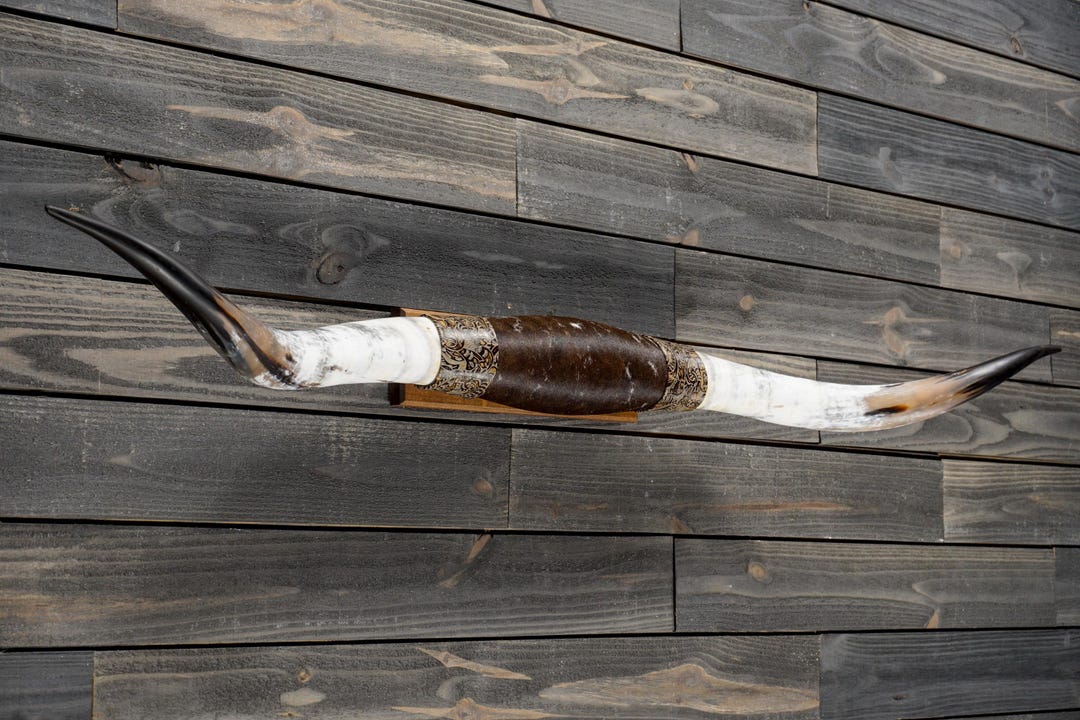 Authentic Longhorn Wall Mount 5' 8" - Steer Horns Western Decor - Etsy