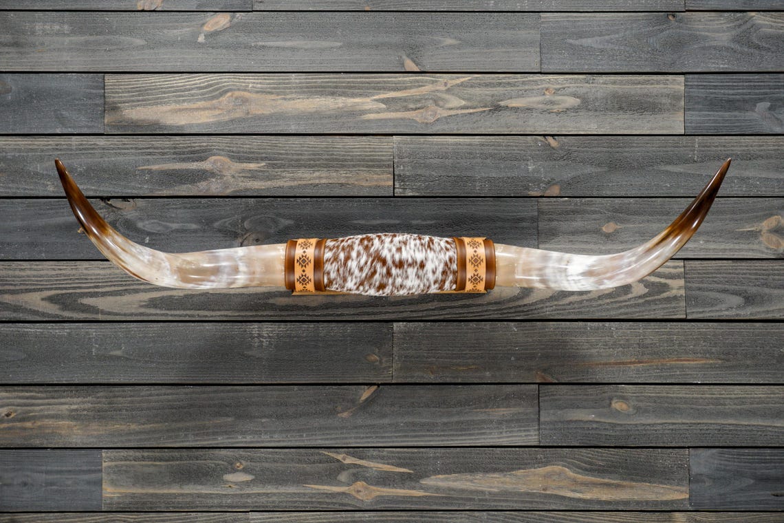 Longhorn Wall Mount 4' 2" - Real Steer Horns Western Decor - Authentic ...
