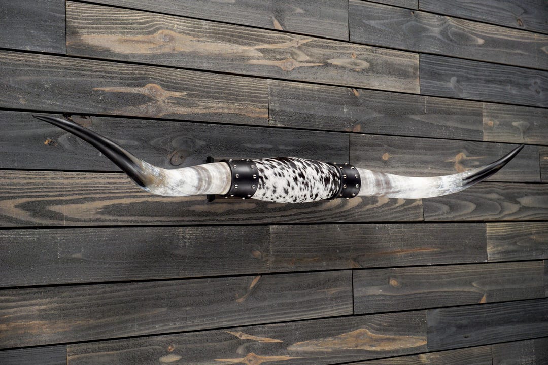 Authentic Longhorn Steer Horns Mounted 5' 4" Wide - Western Decor ...