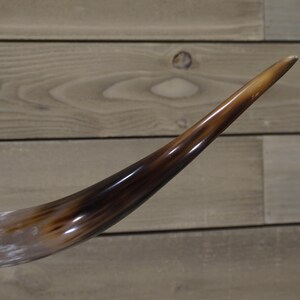 Longhorn Wall Mount 5' 2 Polished Authentic Steer Horns Bull Horns ...