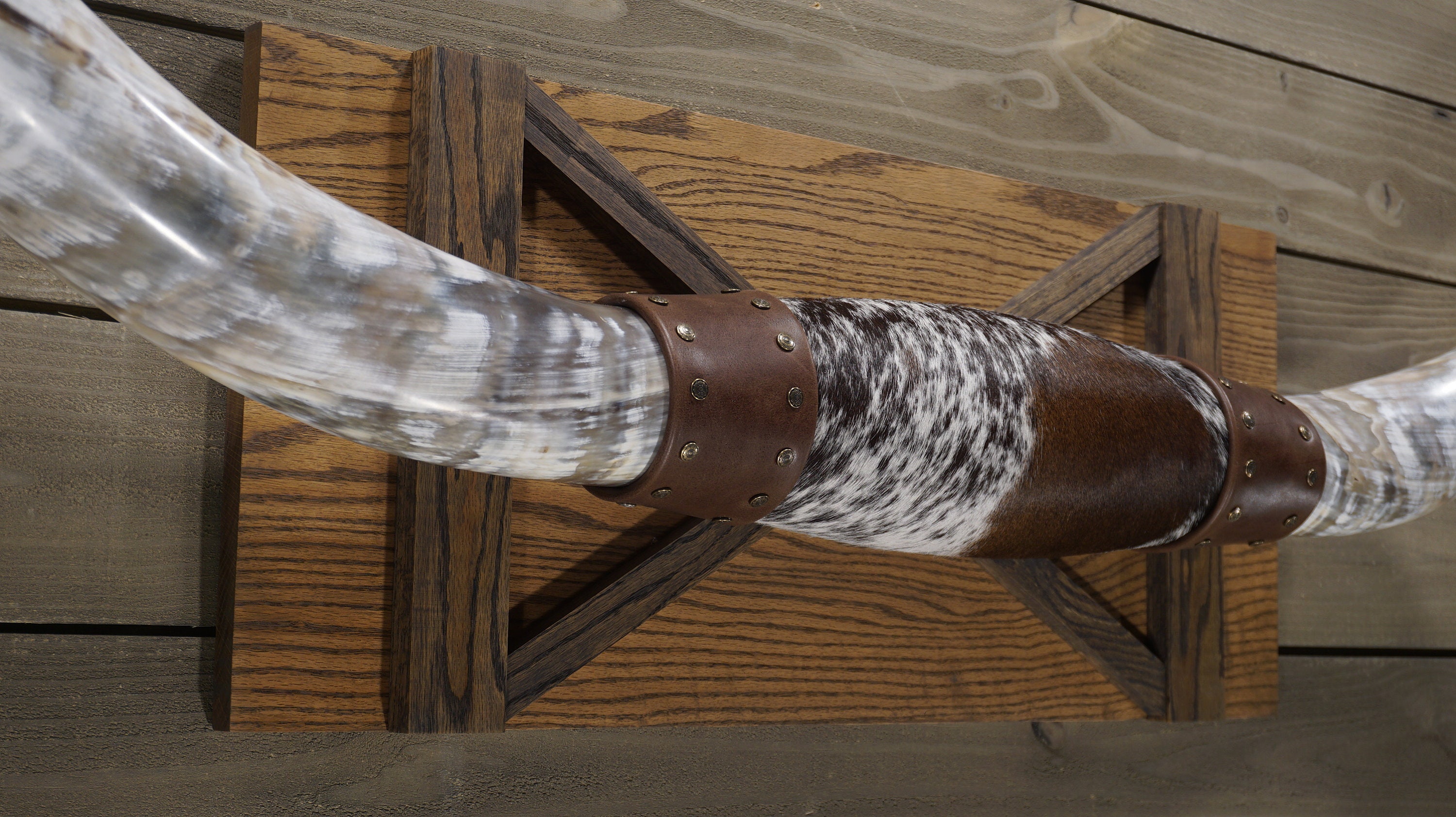 Longhorn Wall Mount 6' 11 Polished Steer Horns Bull Horns Western Decor ...