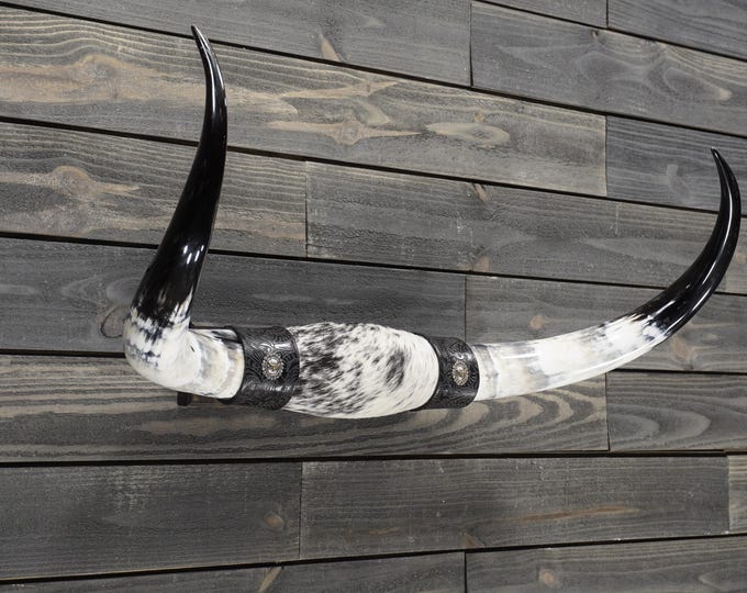 Authentic Longhorn Steer Horns Mounted 3' 0" Wide - Western Decor ...
