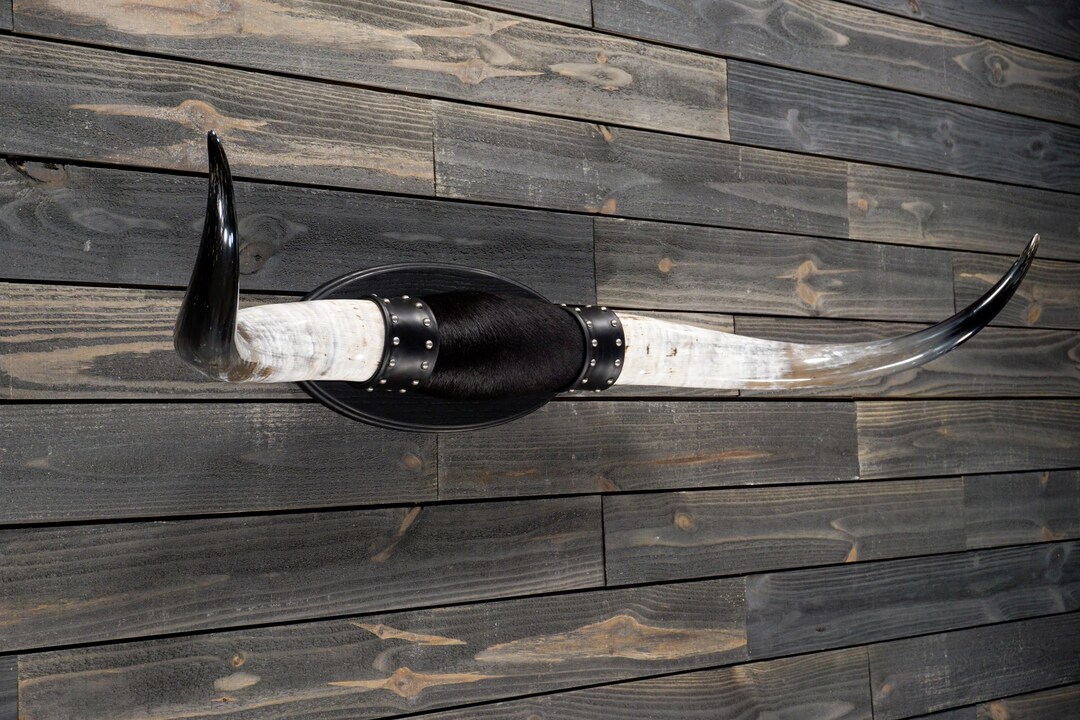 Longhorn Horn Mount 4' 7" - Real Steer Horns - Bull Horn Western Decor ...