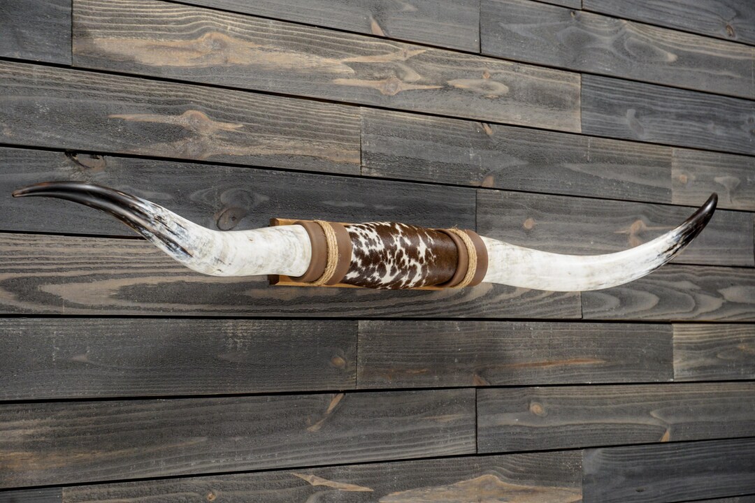 Authentic Longhorn Steer Horns Wall Mount 5' 1" - Authentic Leather and ...