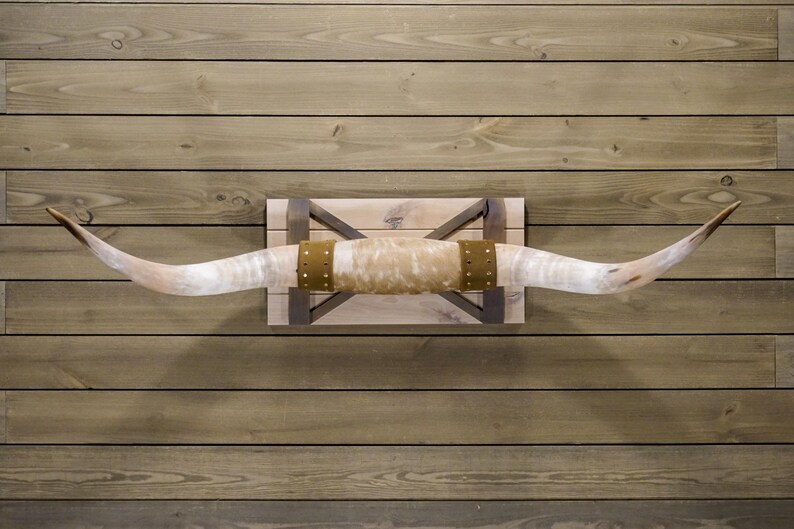 Longhorn Wall Mount 4' 9" Polished Steer Horns Bull Horns Western Decor ...