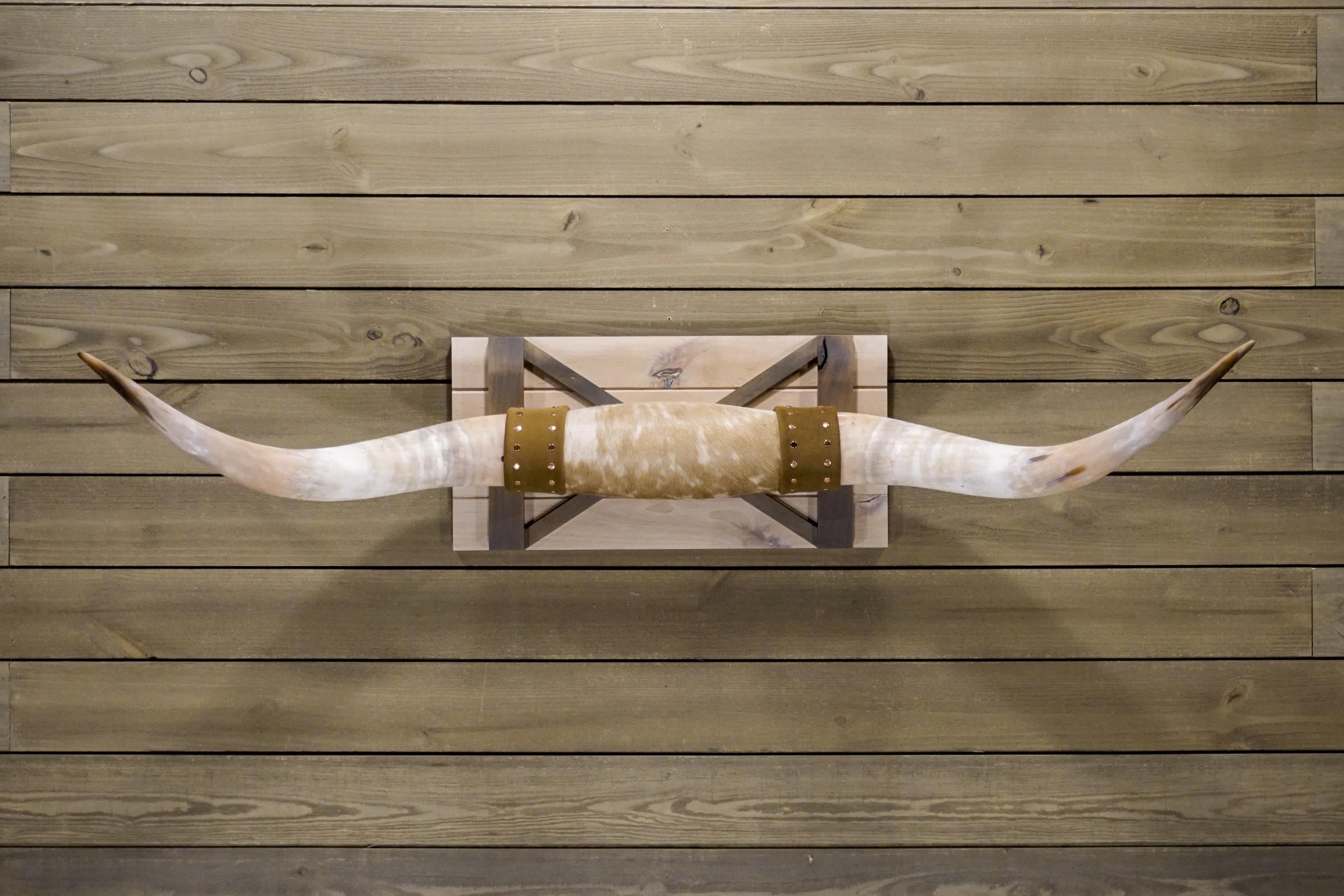 Longhorn Wall Mount 4' 9" Polished Steer Horns Bull Horns Western Decor ...