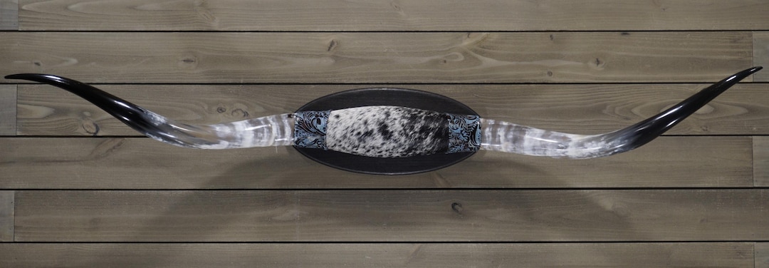 Longhorn Wall Mount 5'8" Polished Authentic Steer Horns Bull Horns ...