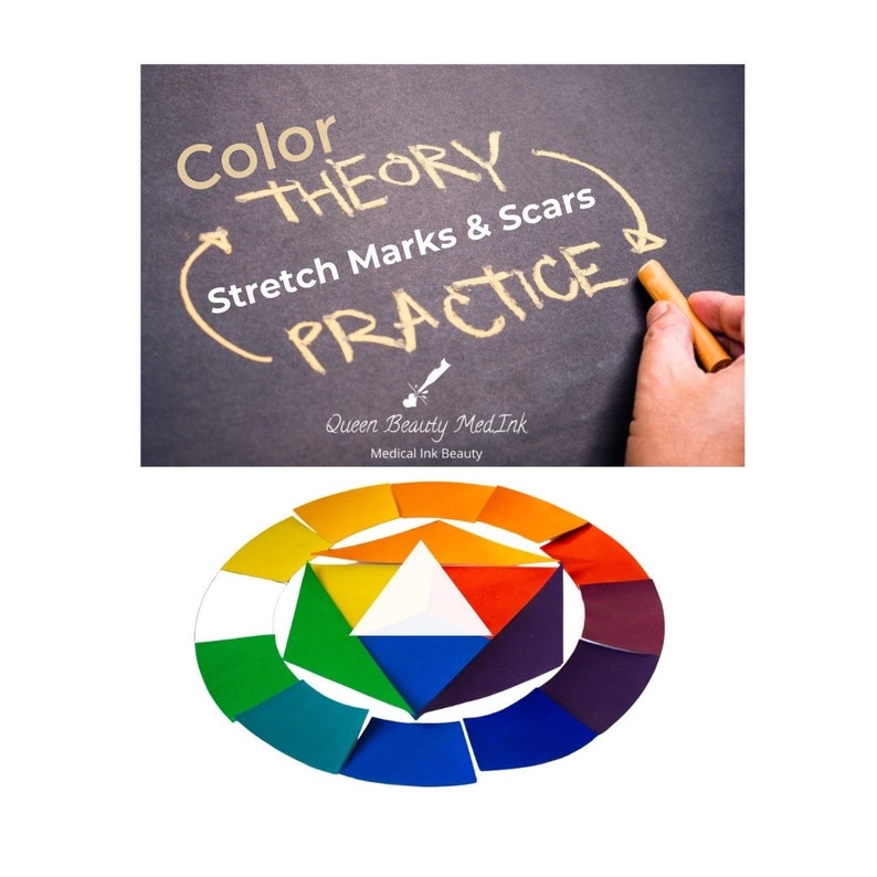 PMU Color Theory for Stretch Marks and Scars Advanced - Etsy