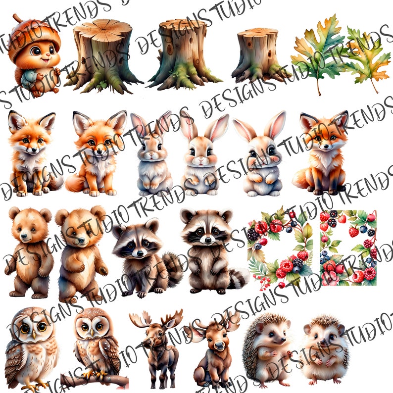Woodland Baby Shower Clipart 37pcs Whimsical Bear, Fox, and Owl ...