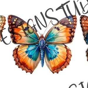 Enchanted Butterfly Watercolor Clipart Collection - 25 Magical PNG ...