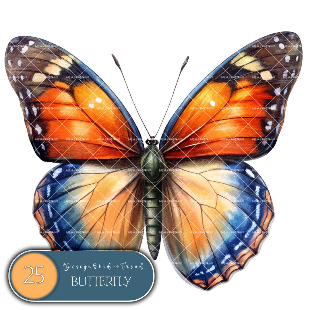 Enchanted Butterfly Watercolor Clipart Collection - 25 Magical PNG ...