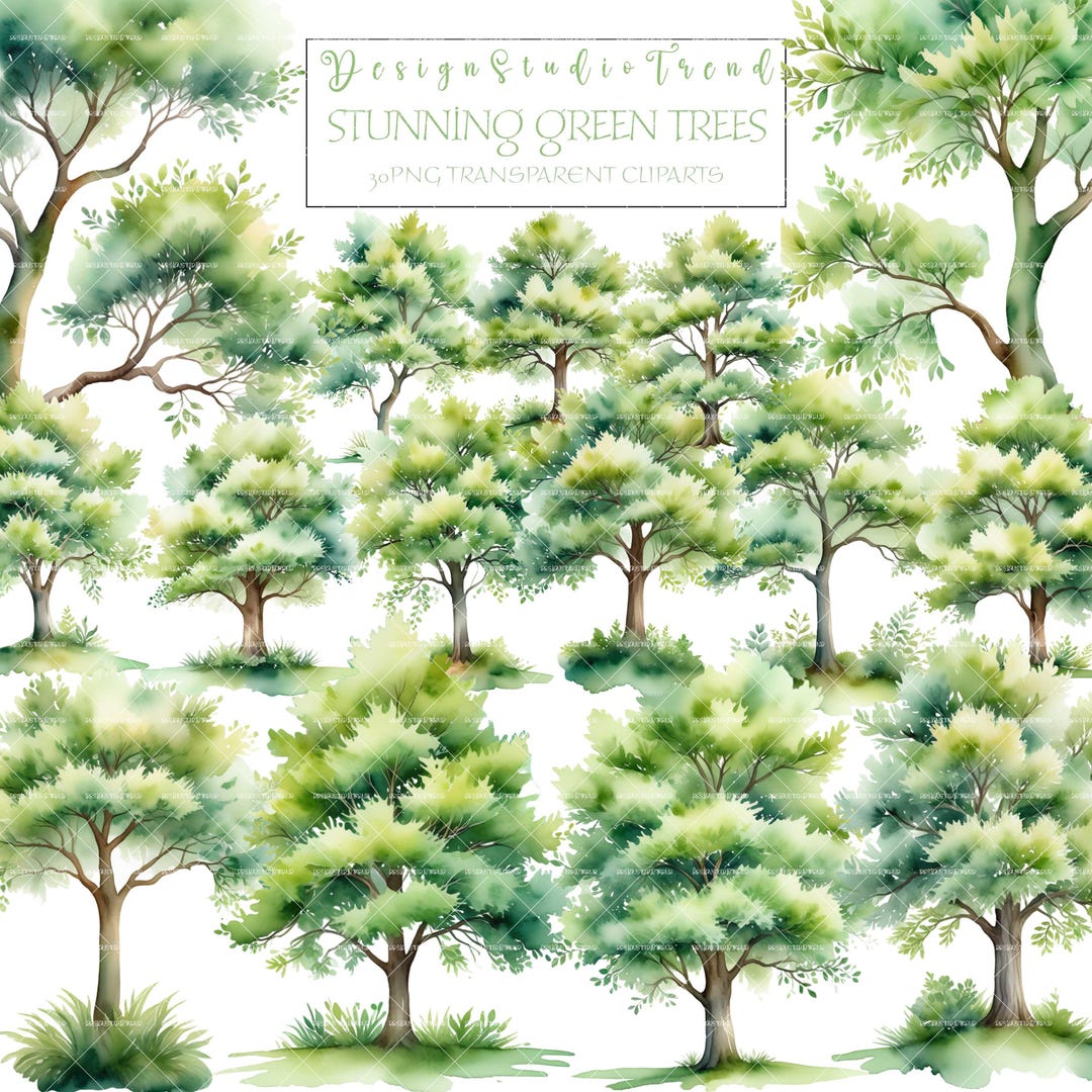 Watercolor Greenery Clipart Set: Forest Trees, Transparent PNG ...