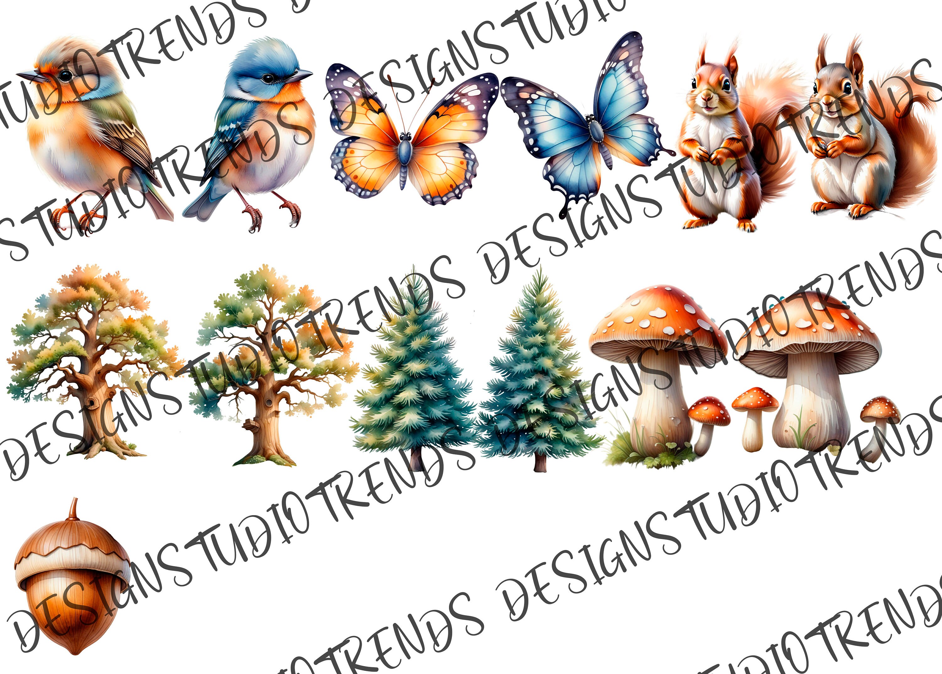 Woodland Baby Shower Clipart 37pcs Whimsical Bear, Fox, and Owl ...