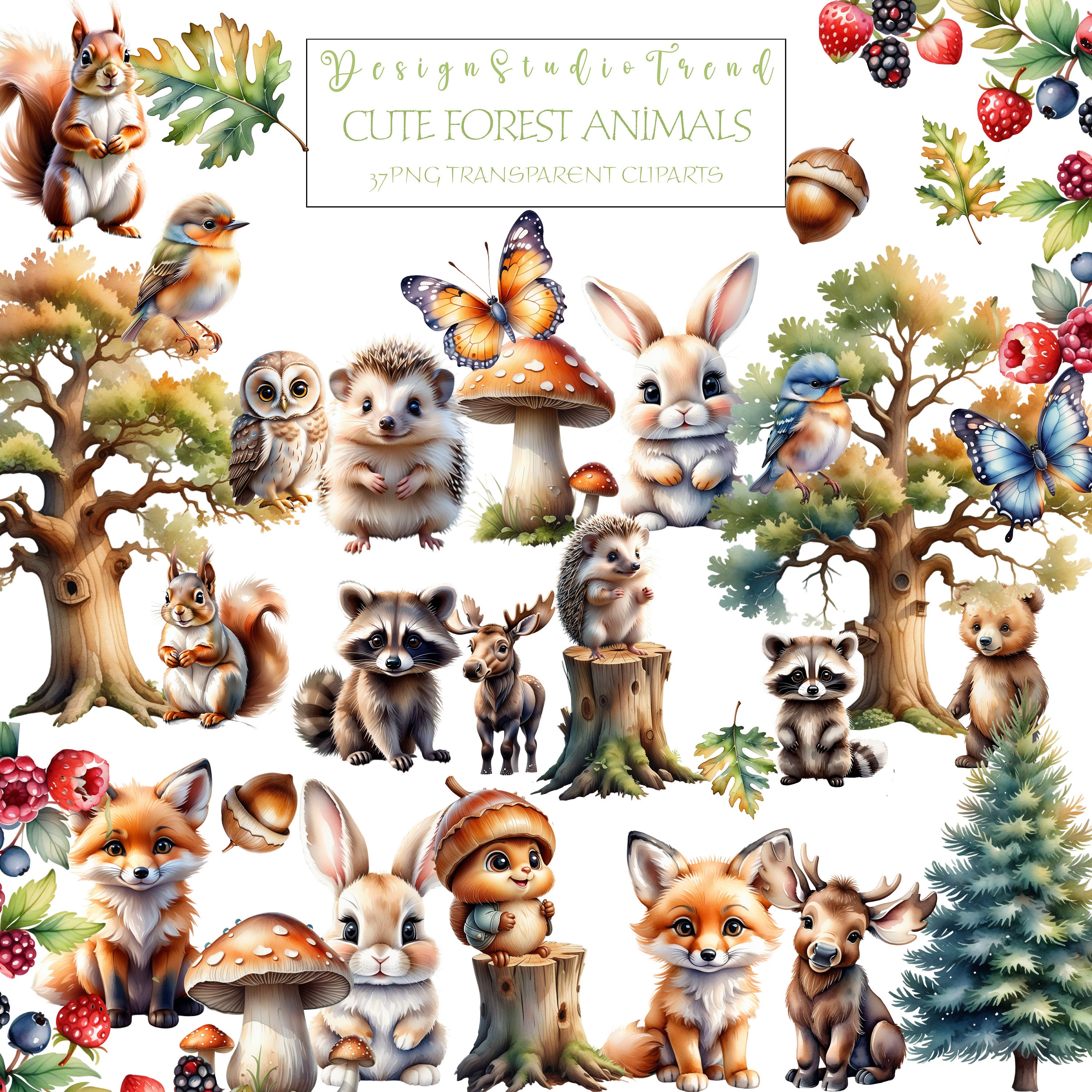 Woodland Baby Shower Clipart 37pcs Whimsical Bear, Fox, and Owl ...