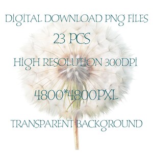 Whispering Dandelion Blossoms - 23 Nature Flower Designs for ...