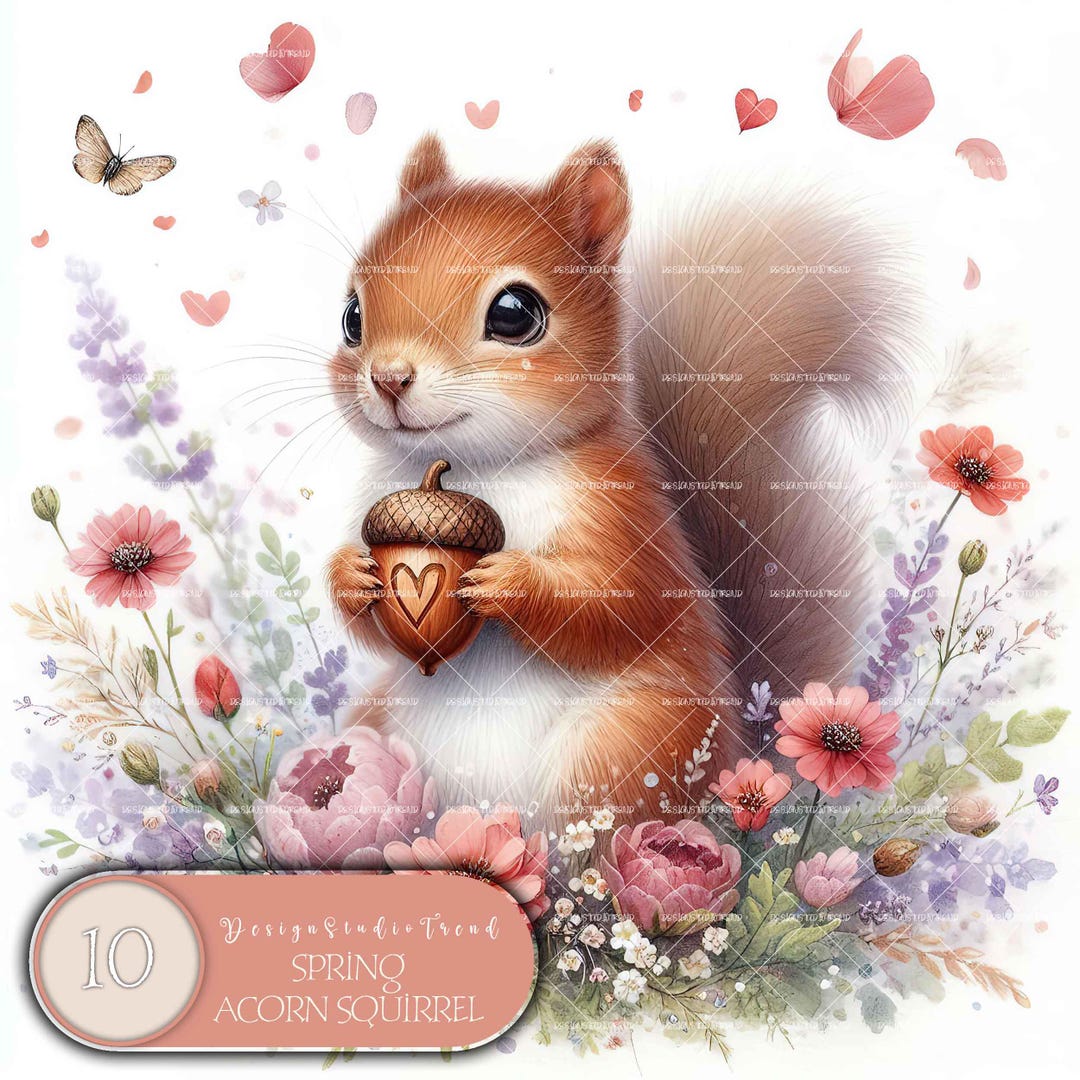 Squirrel Clipart: Spring Acorn Designs, Nursery Decor (PNG Digital ...