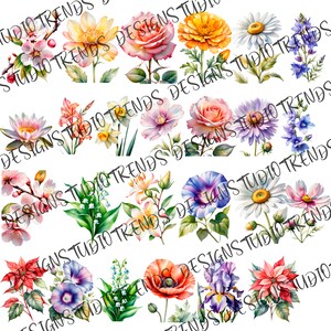 Watercolor Birth Month Flowers Clipart - 50pcs PNG Set Beautiful Floral ...
