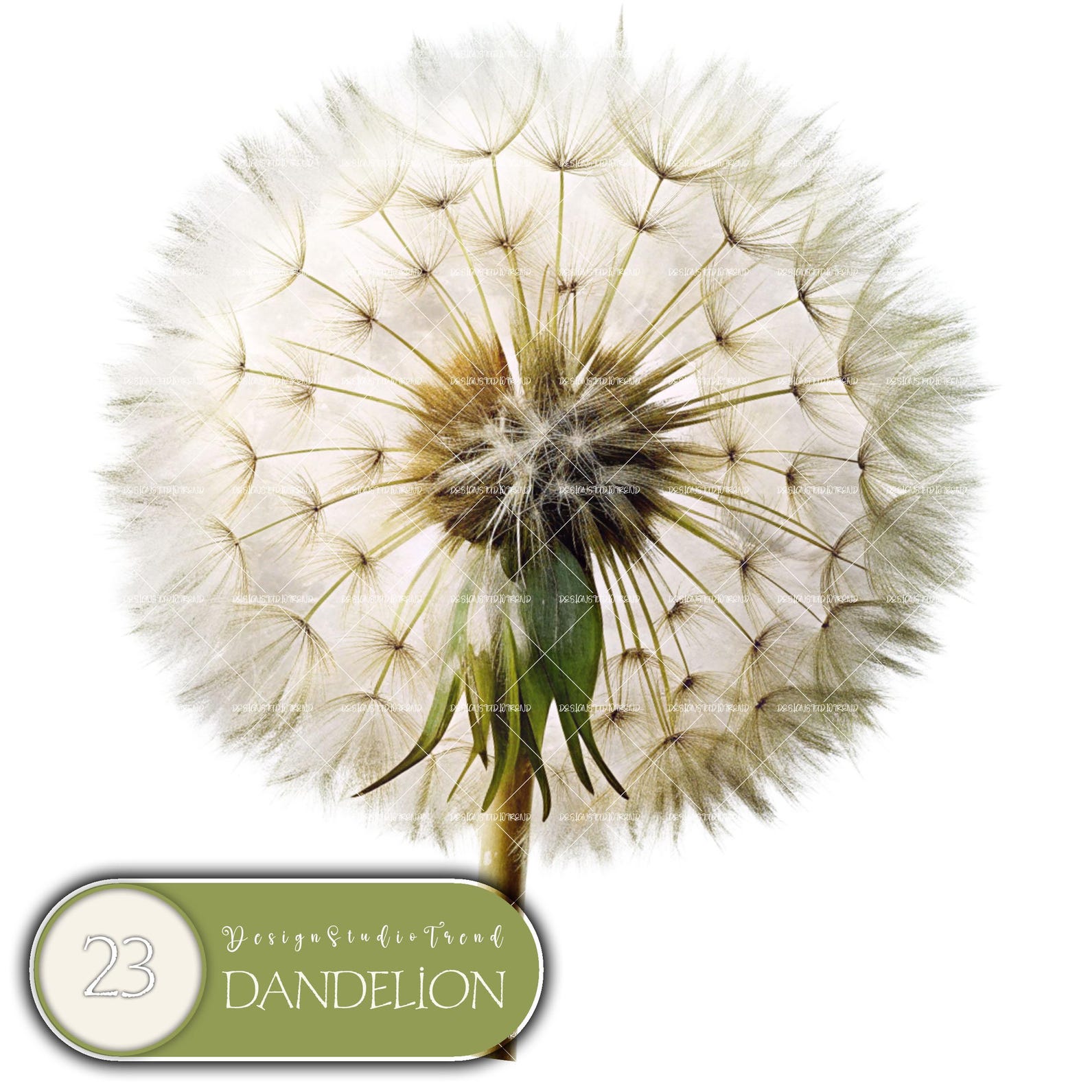 Whispering Dandelion Blossoms - 23 Nature Flower Designs for ...