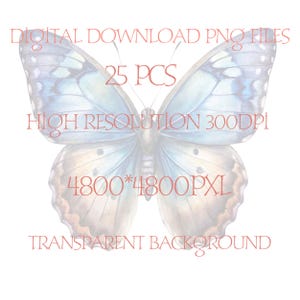Enchanted Butterfly Watercolor Clipart Collection 25 Magical PNG Pieces ...