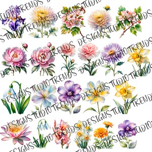 Watercolor Birth Month Flowers Clipart - 50pcs PNG Set Beautiful Floral ...