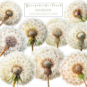 Whispering Dandelion Blossoms - 23 Nature Flower Designs for ...