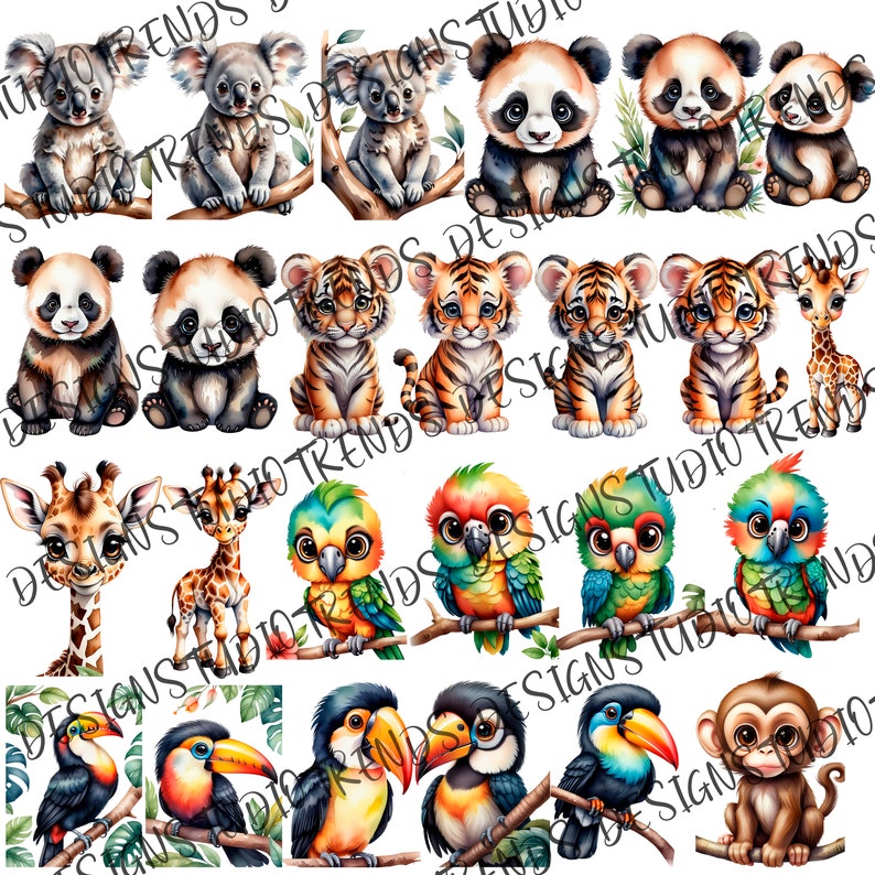Adorable Jungle Baby Animals Clipart Set 82 Pcs Watercolor Safari ...