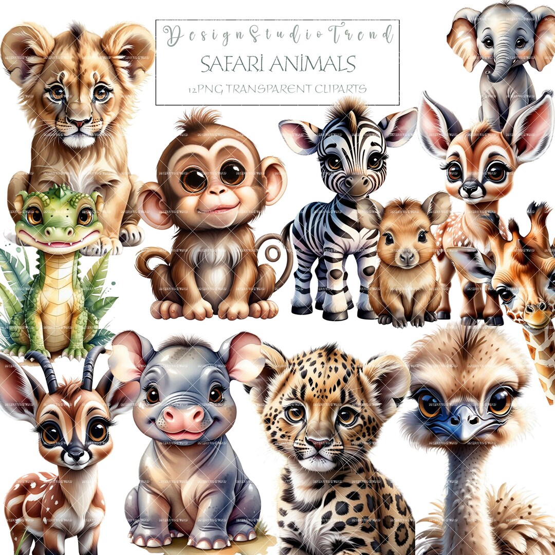 Watercolor Safari Baby Animals Clipart: 12 PNG Set (commercial Use) - Etsy