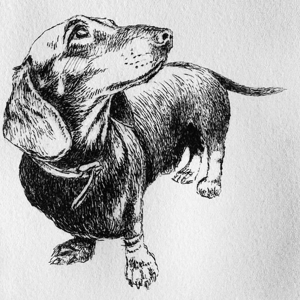 Dog Etching - Etsy