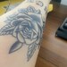 Japanese Koi Fish Temporary Tattoo, Traditional Semi Permanent Fish ...