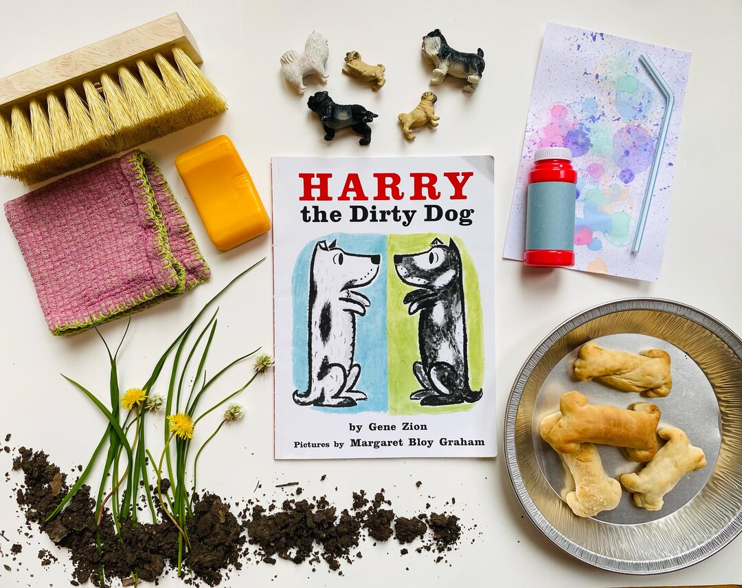 Harry the Dirty Dog (storybook Studies, Ages 4-6) - Etsy