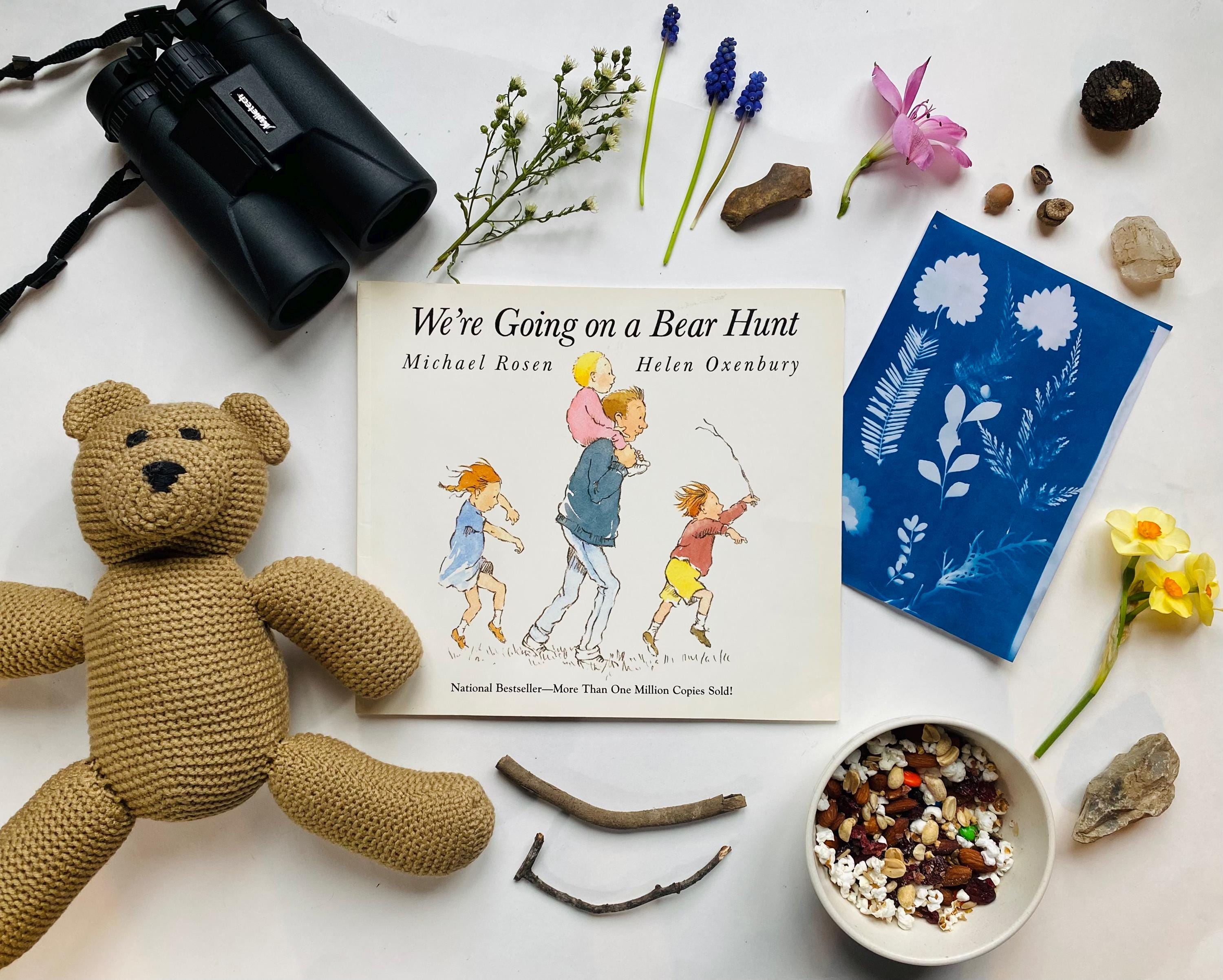 We're Going on a Bear Hunt (storybook Studies, Ages 4-6) - Etsy