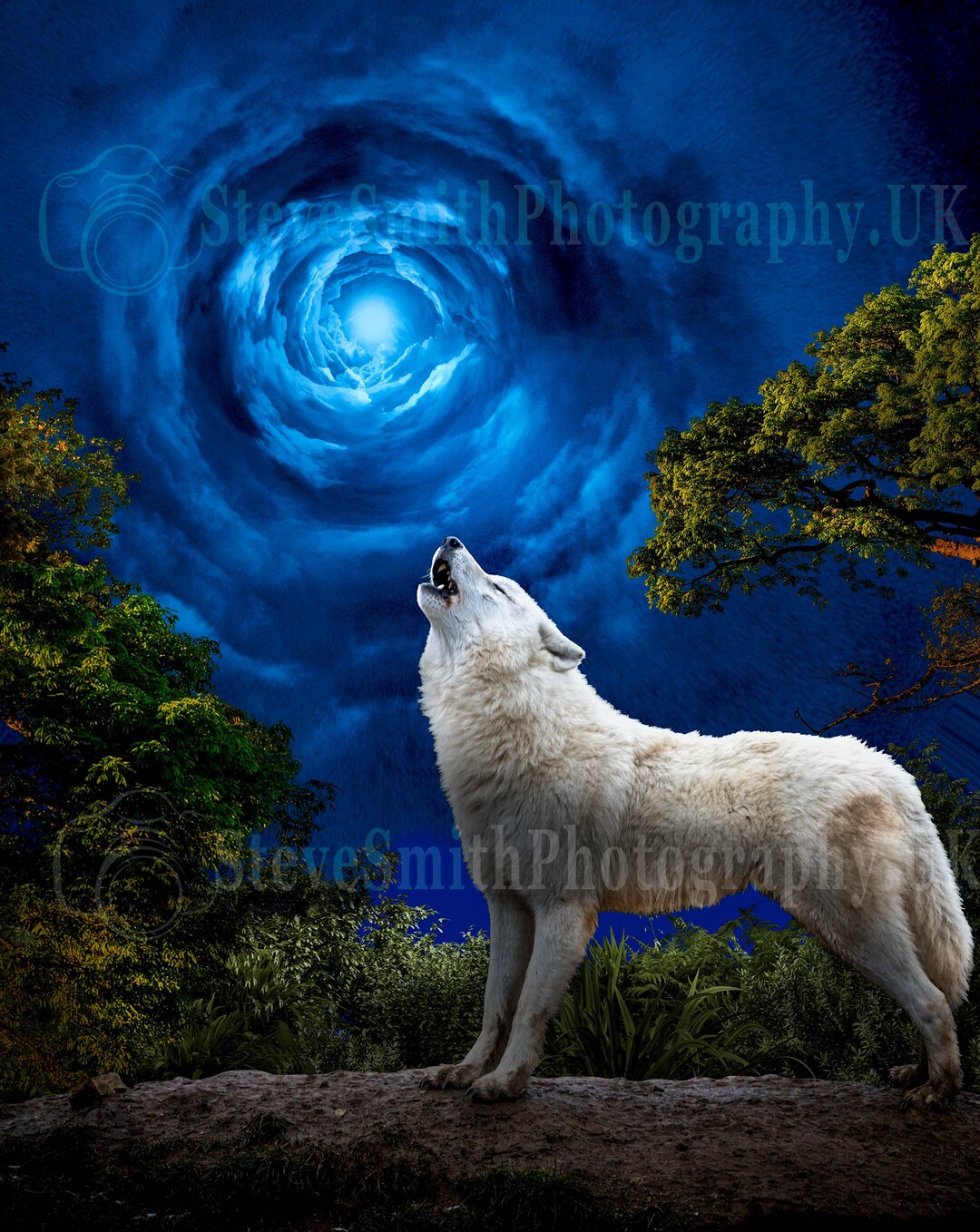 White Wolf Howling at a Cosmic Wormhole - Etsy