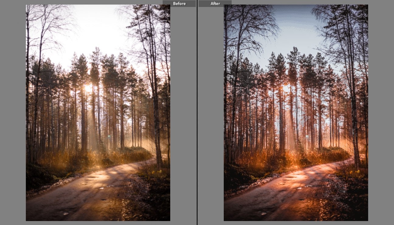 Original Landscape Lightroom Preset Compatible With Photoshop, Mobile ...