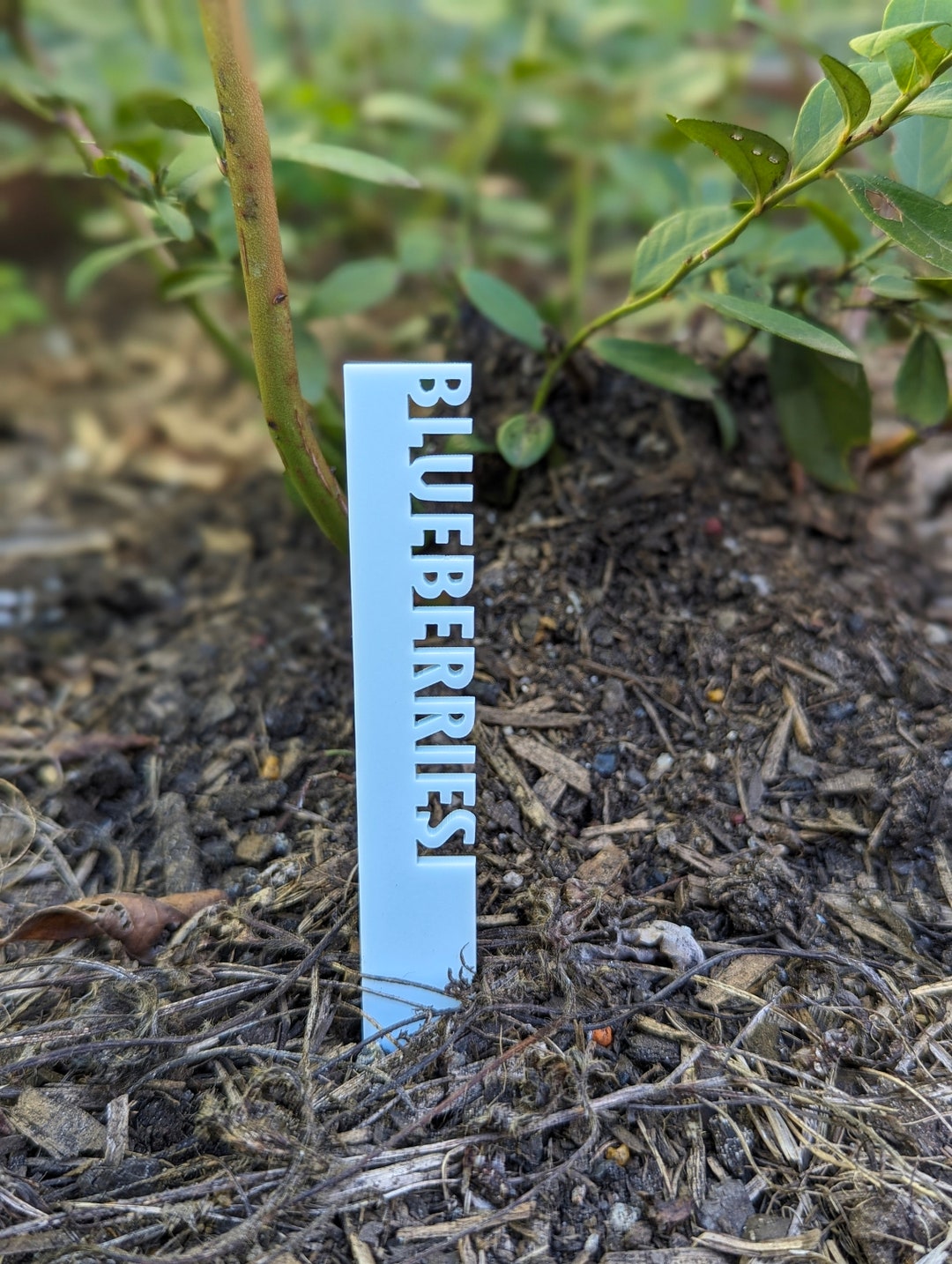 Garden Labels Custom Plant Labels Herbs Vegetables Fruit Trees - Etsy