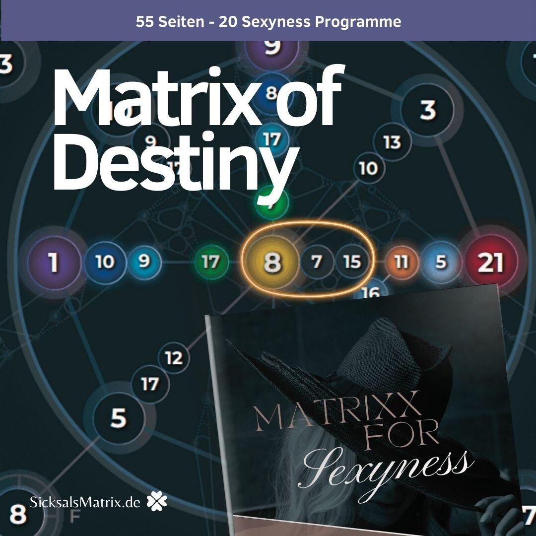 Destiny Matrix Matrixx for Sexiness 20 Programs 55 Pages PDF - Etsy