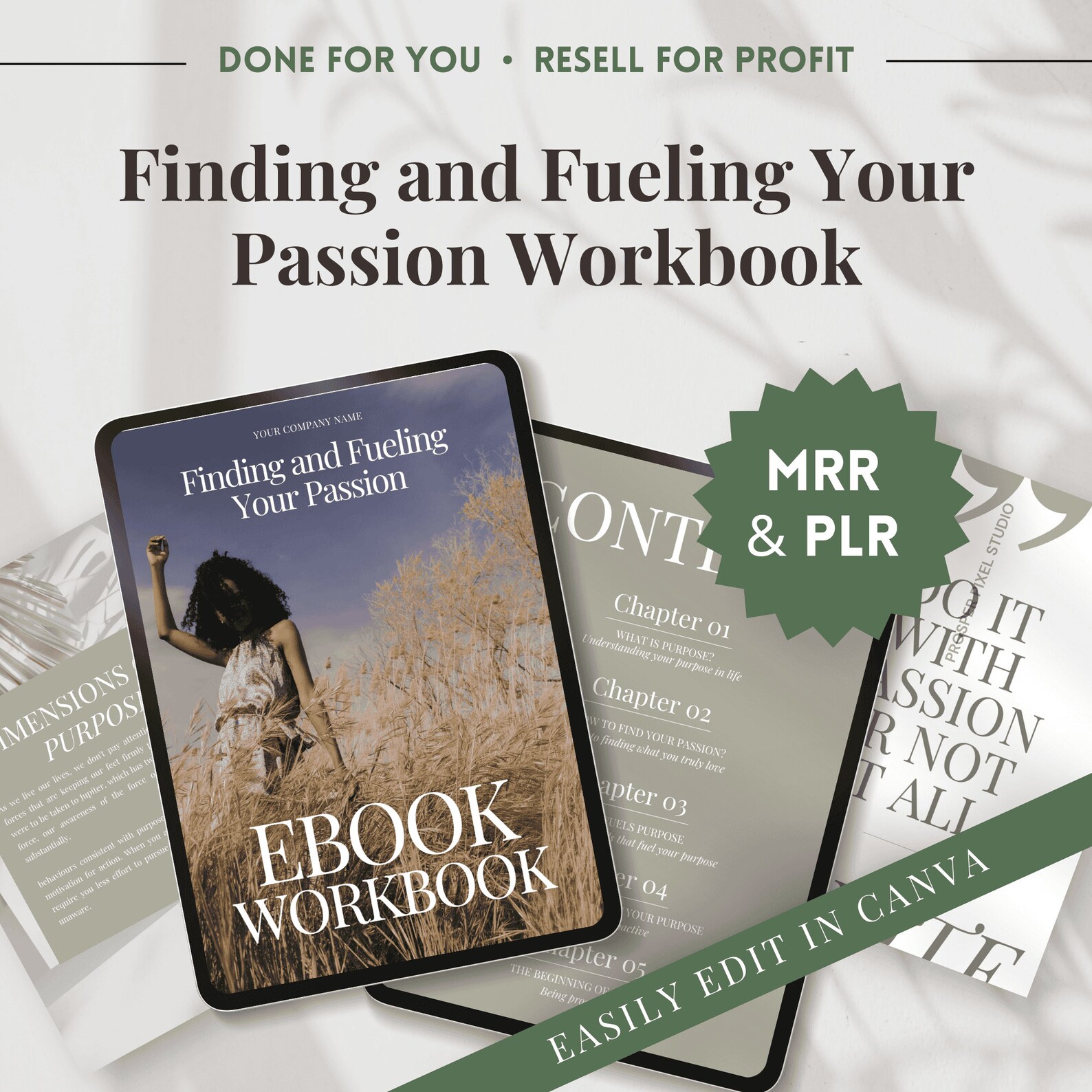 MRR and PLR Collection - Done for You, Master Resell Rights, Private ...