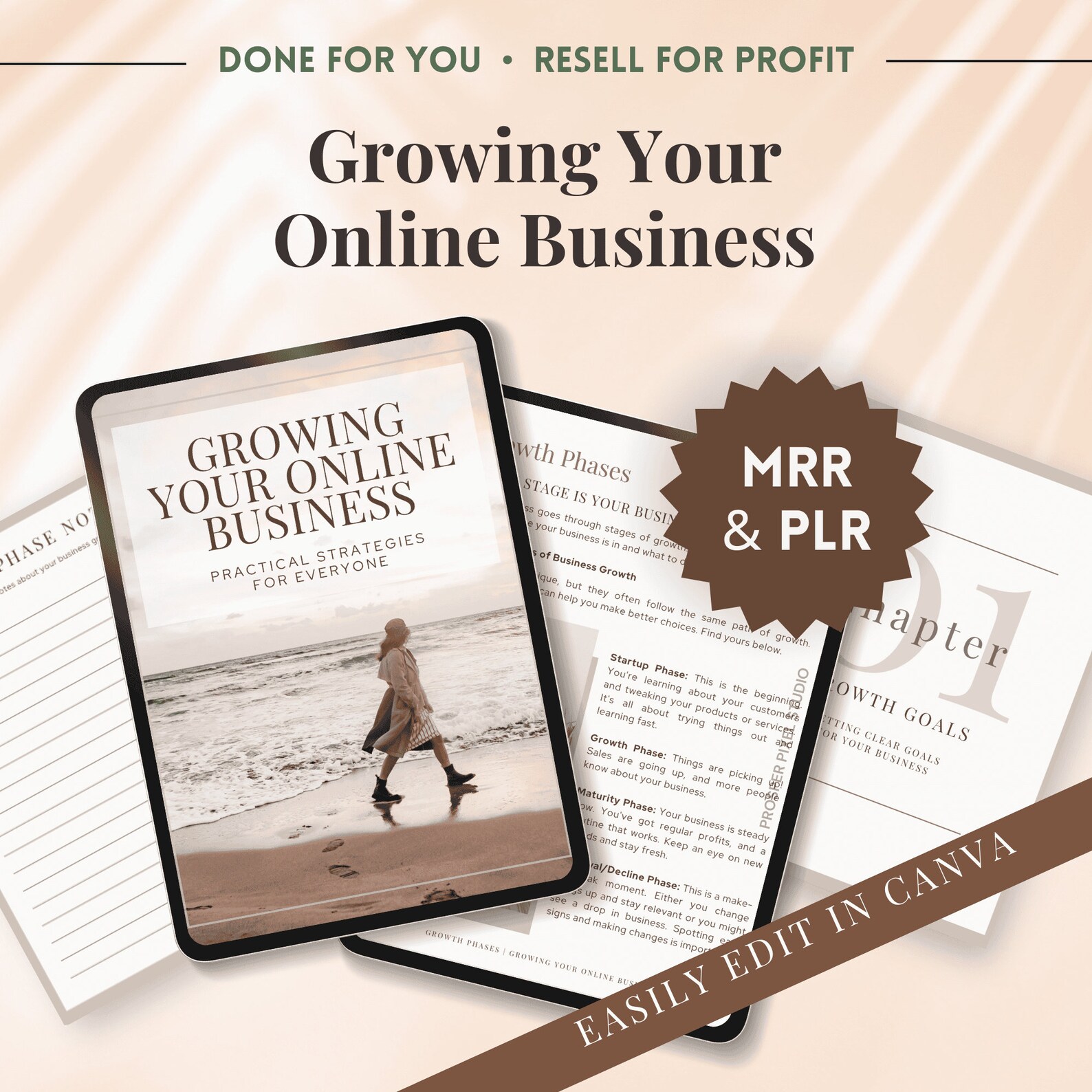 MRR and PLR Collection - Done for You, Master Resell Rights, Private ...