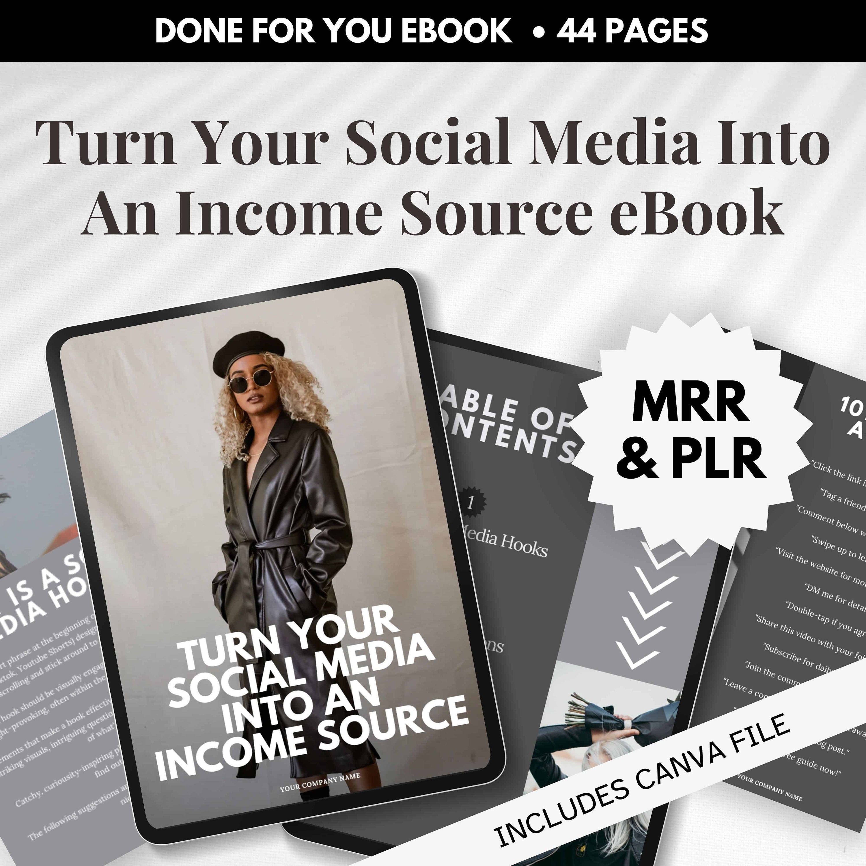 MRR and PLR Collection Done for You, Master Resell Rights, Private ...