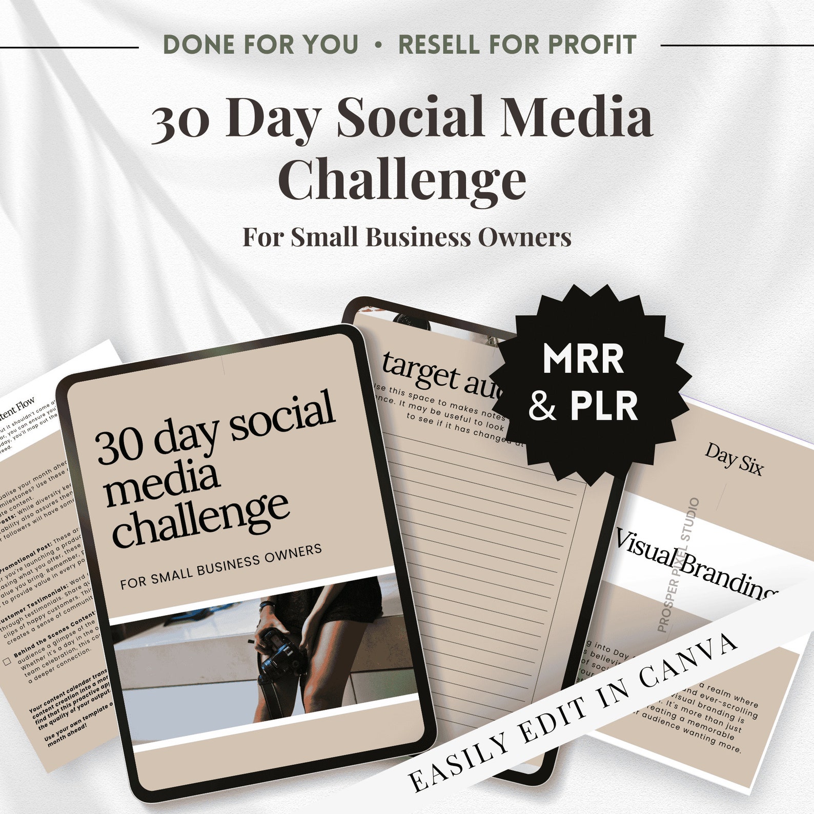 MRR and PLR Collection - Done for You, Master Resell Rights, Private ...