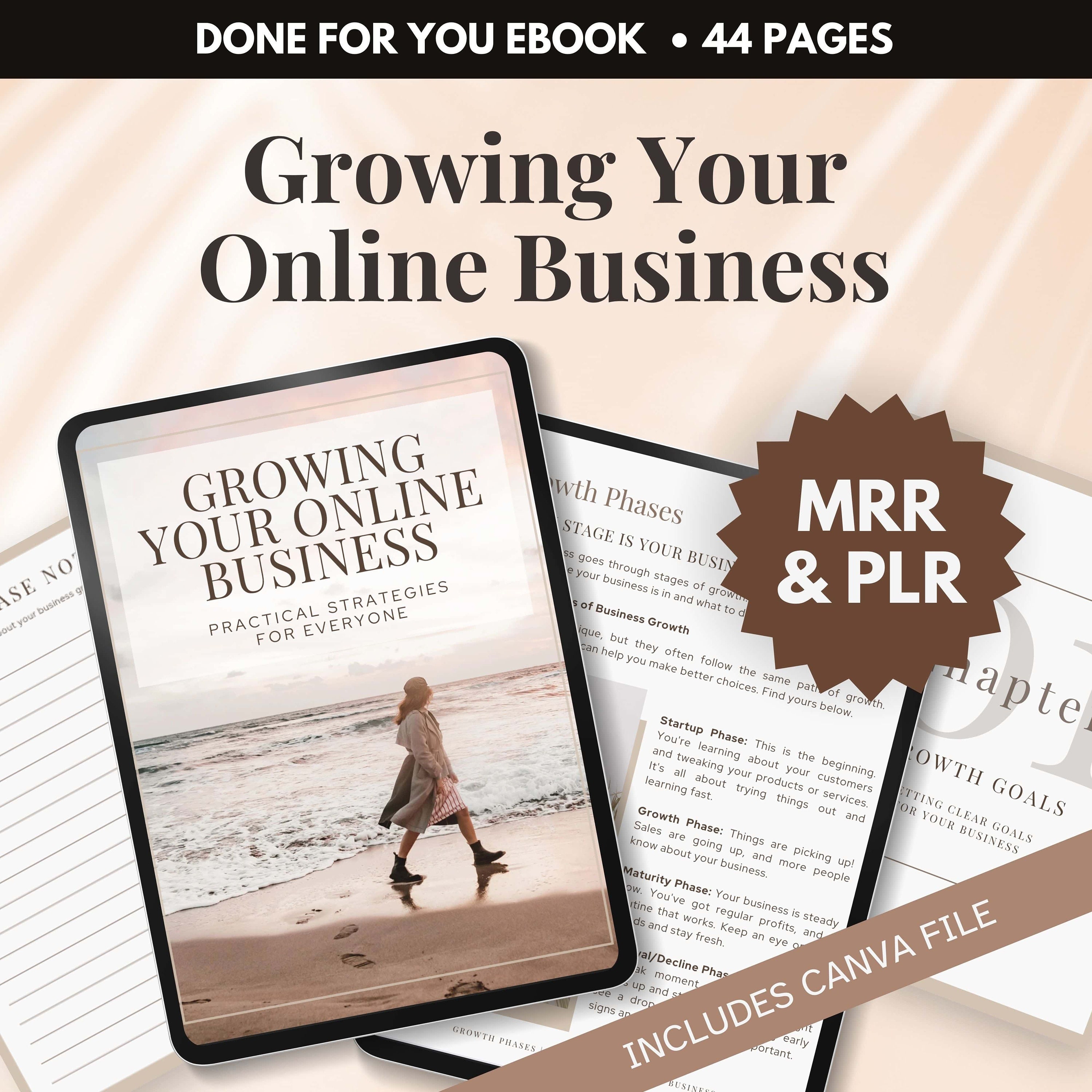 MRR and PLR Collection Done for You, Master Resell Rights, Private ...