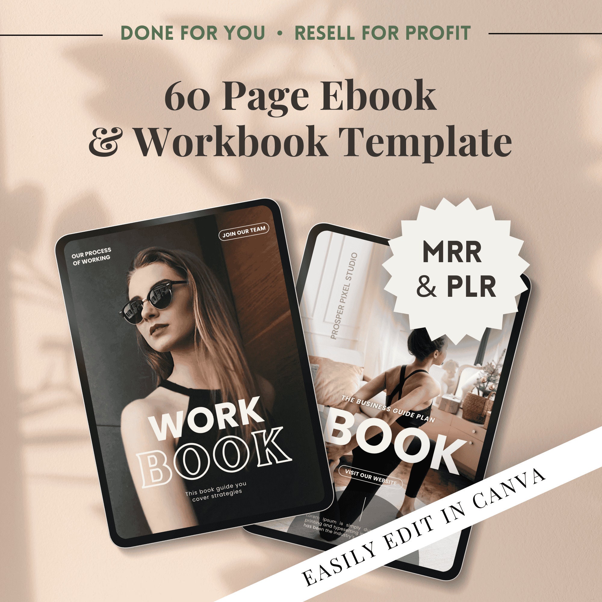 MRR and PLR Collection - Done for You, Master Resell Rights, Private ...