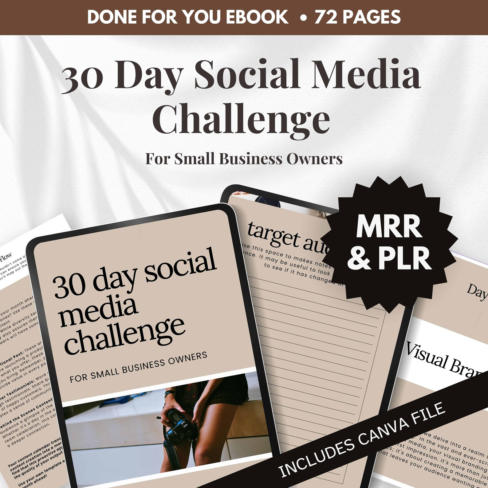 MRR and PLR Collection Done for You, Master Resell Rights, Private ...