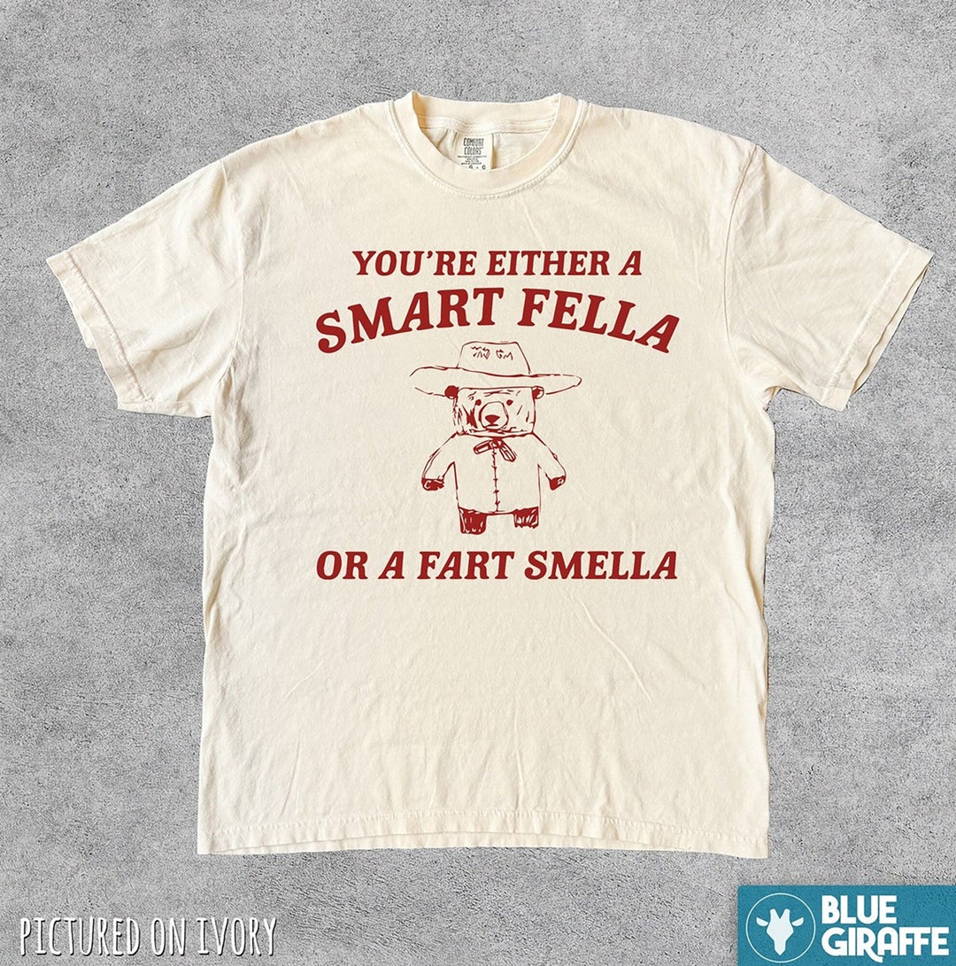 Are You A Smart Fella or Fart Smella T Shirt, Weird T Shirt, Funny ...