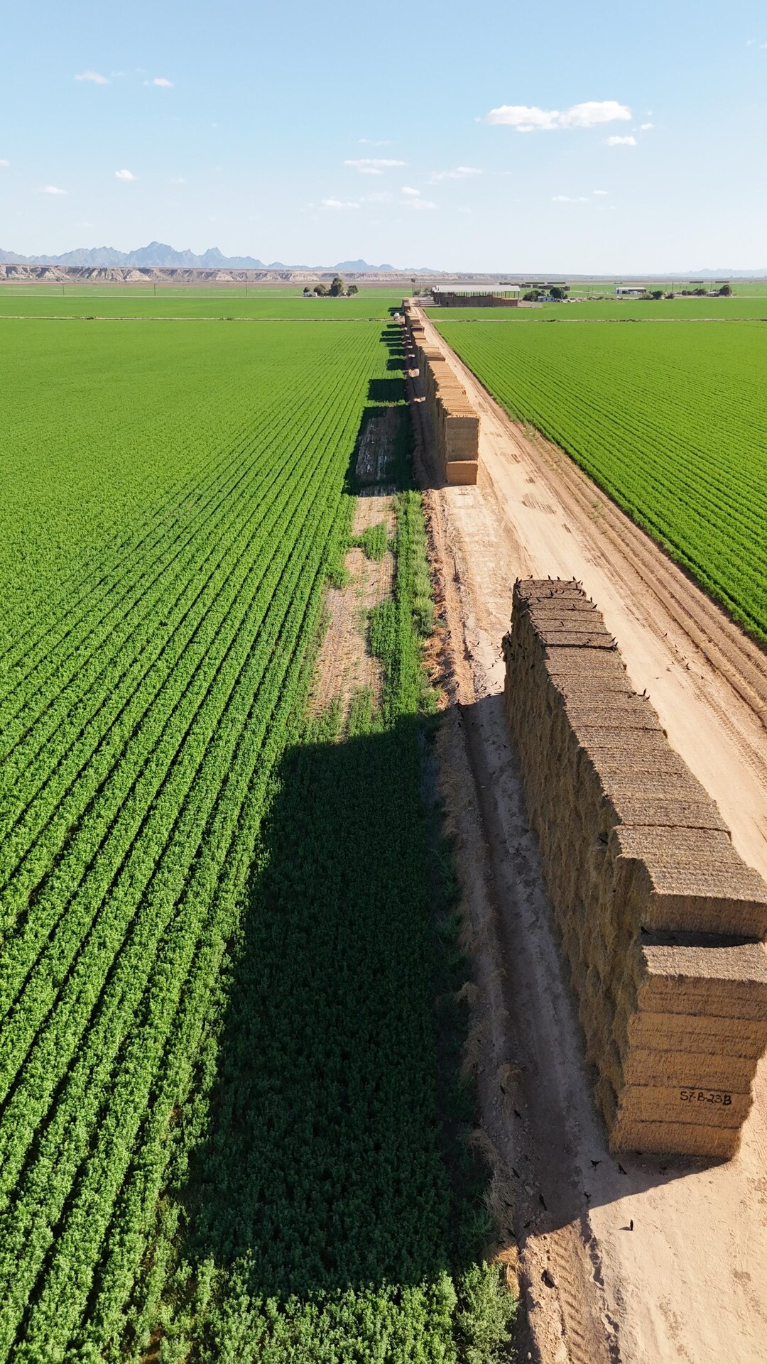 Infinite Hay Rows Green Field Agriculture Wall Art Download Image ...
