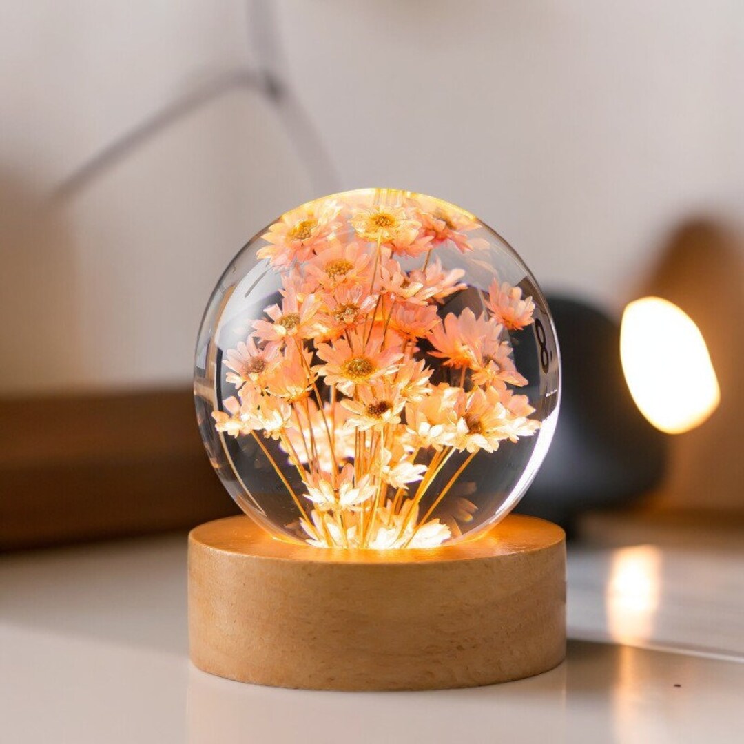 Custom Dried Flower Night Light, Real Daisy Snow Globe, Dandelion Night ...