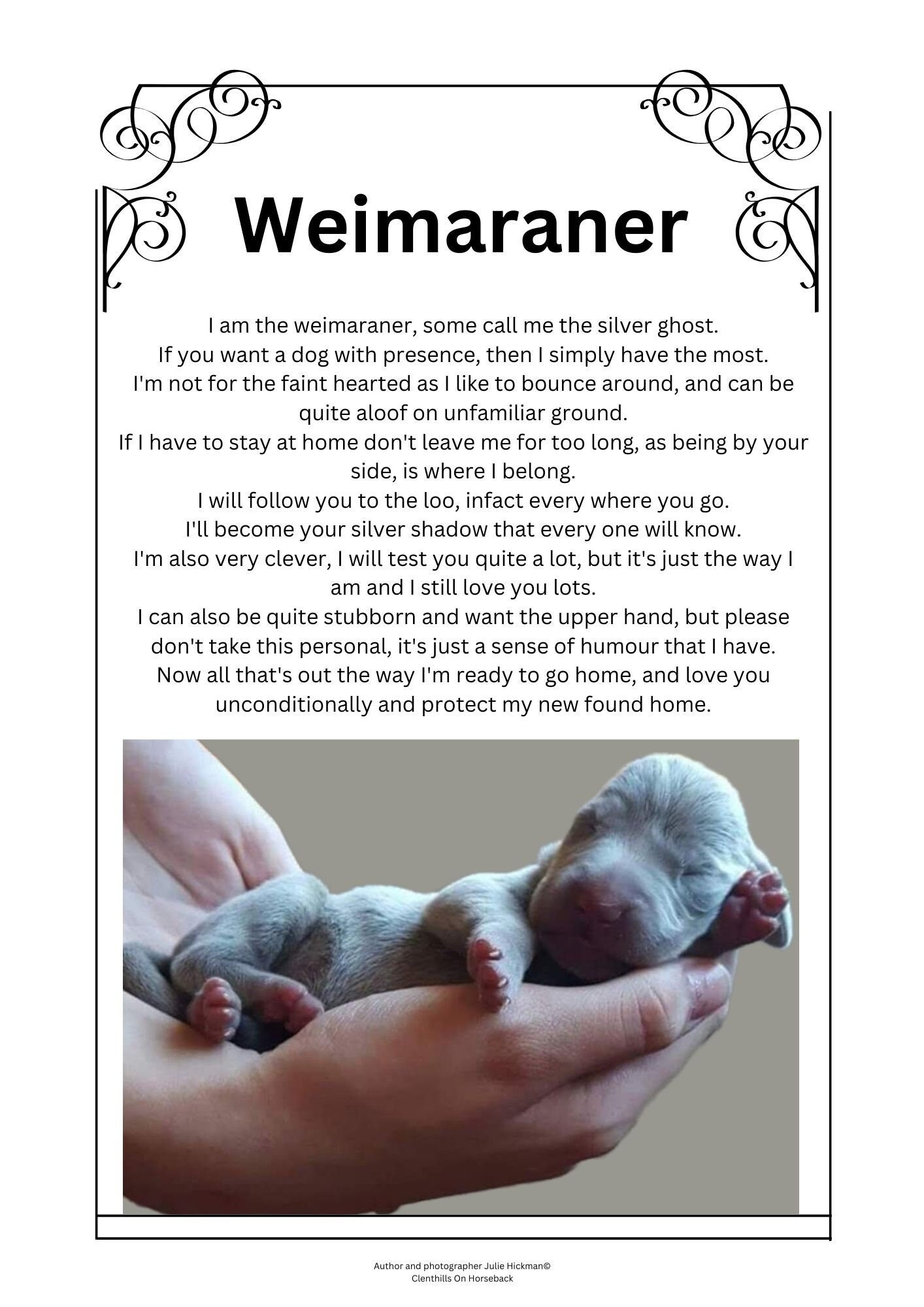 Weimaraner Dog Breeds Poem Picture Print, Gift. - Etsy