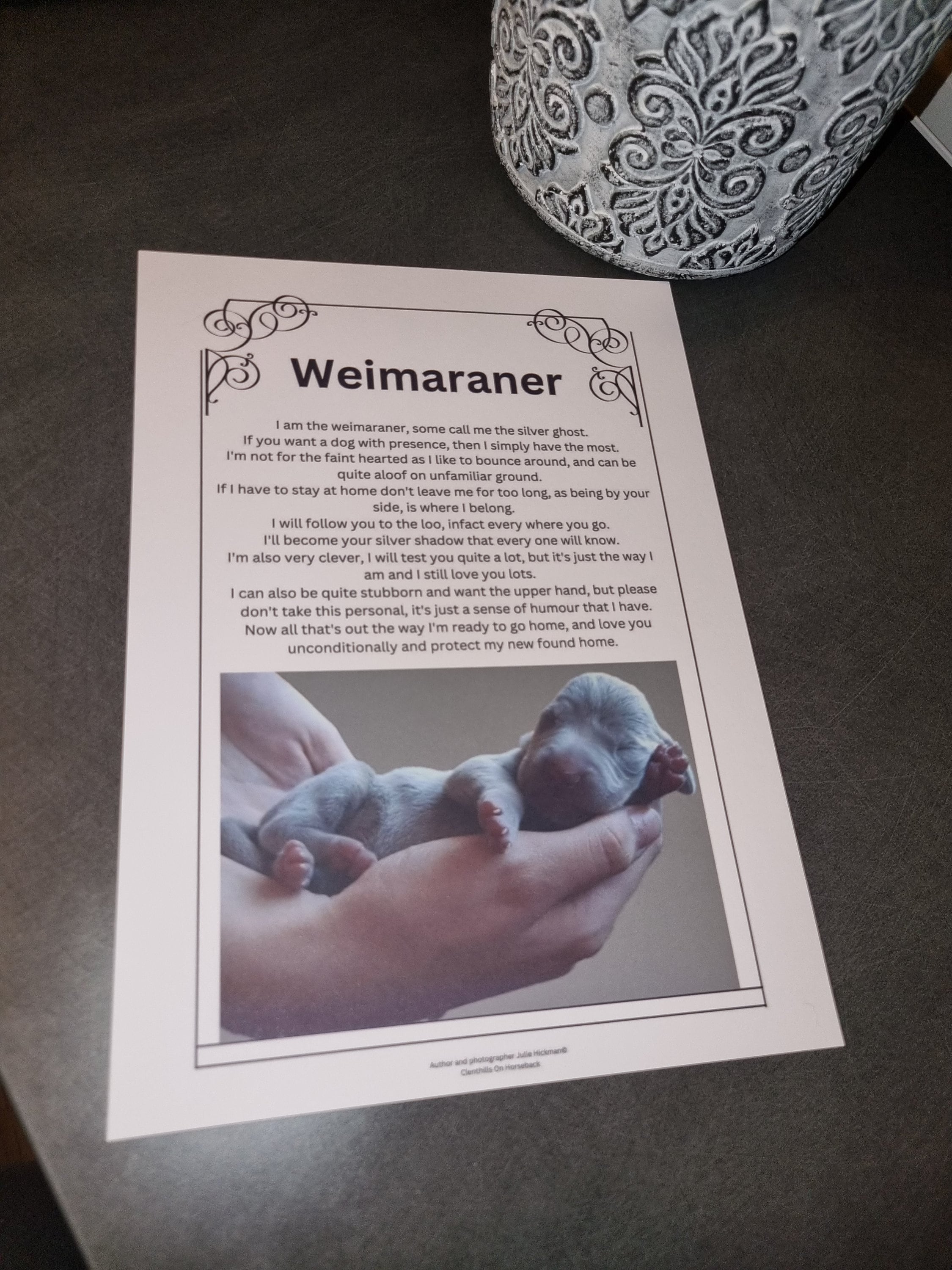 Weimaraner Dog Breeds Poem Picture Print, Gift. - Etsy