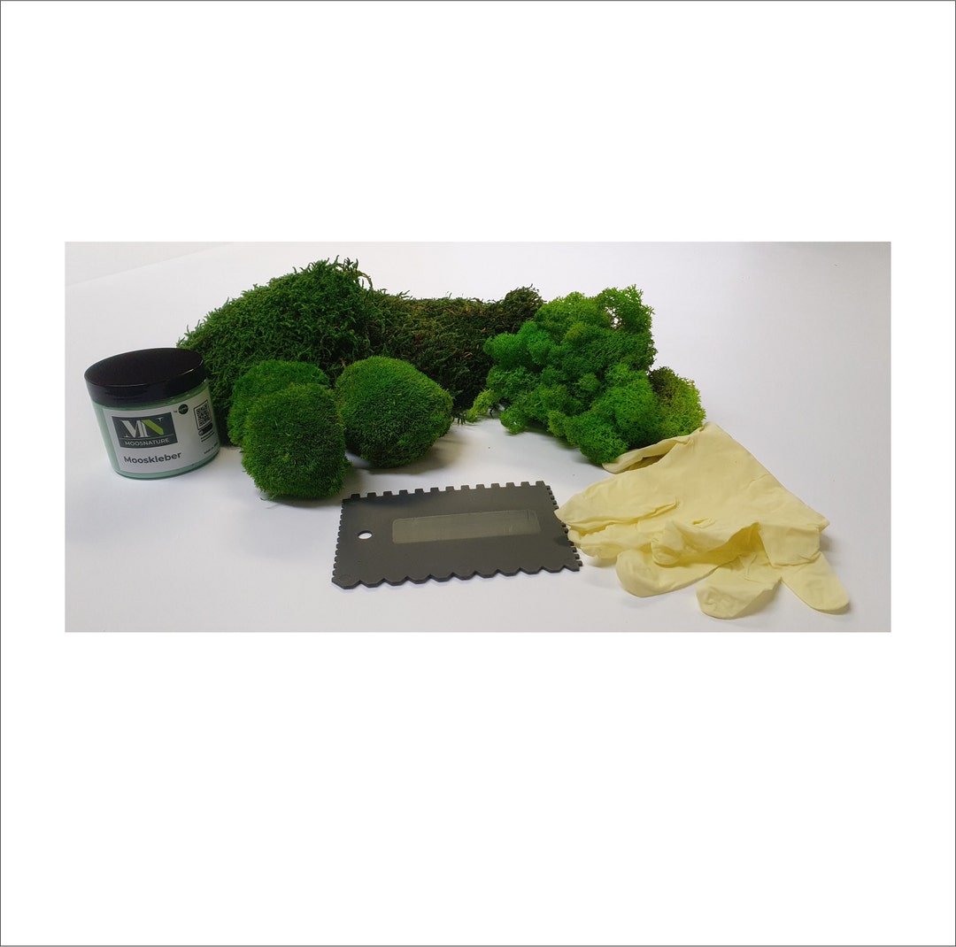 Moss Picture DIY Set Preserved Moss for Your Creative Project, Moss ...