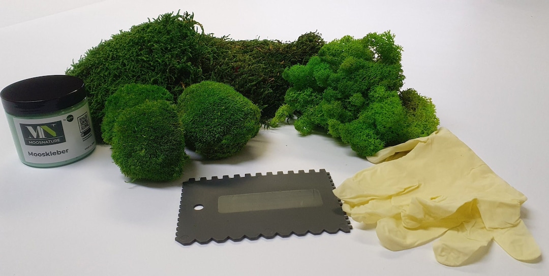 Moss Picture DIY Set Preserved Moss for Your Creative Project, Moss ...
