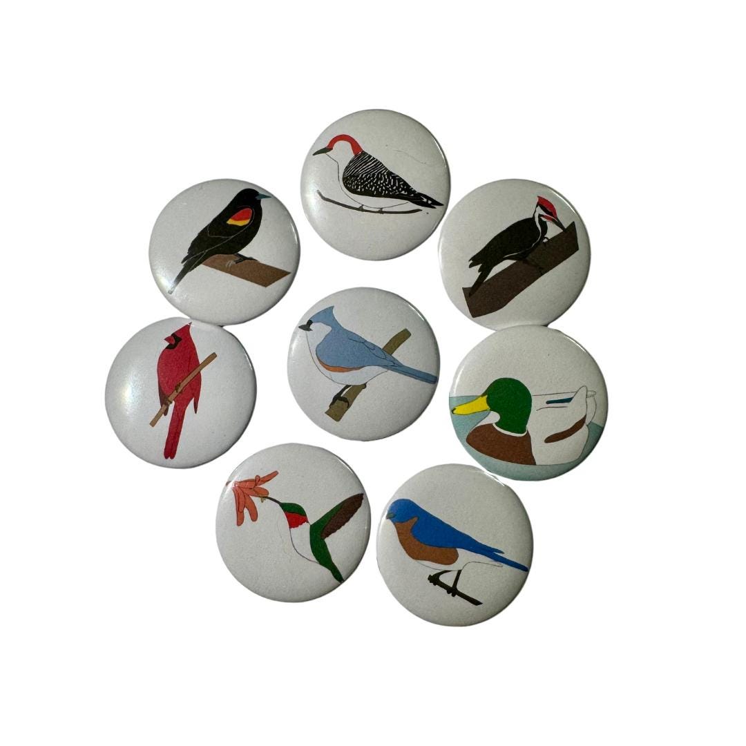Birds Birds Birds / Hand Drawn Buttons - Etsy